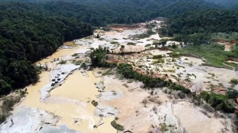Desnutrição crônica: oito em cada 10 crianças Yanomami sofrem com ... Desnutrição crônica: oito em cada 10 crianças Yanomami sofrem com ...